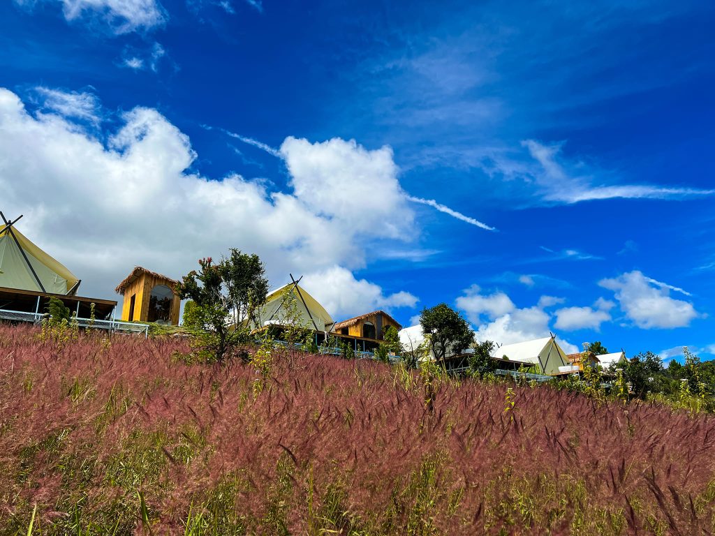 The CampVille Đà Lạt